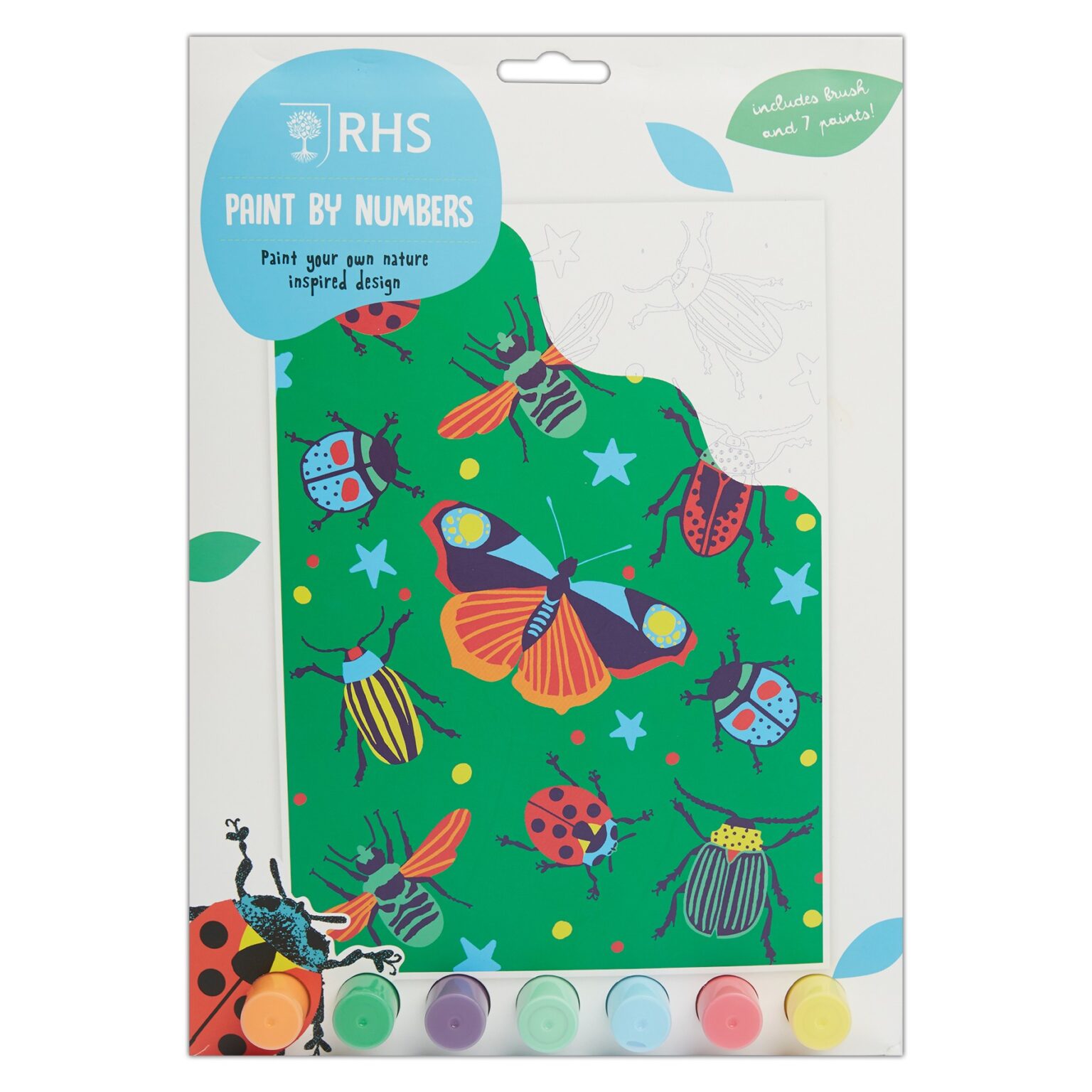 Paint By Numbers - Bugs - Hickman Design