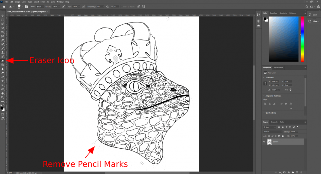 How to Create an Illustrator Vector from a Drawing or Sketch? | Hickman ...