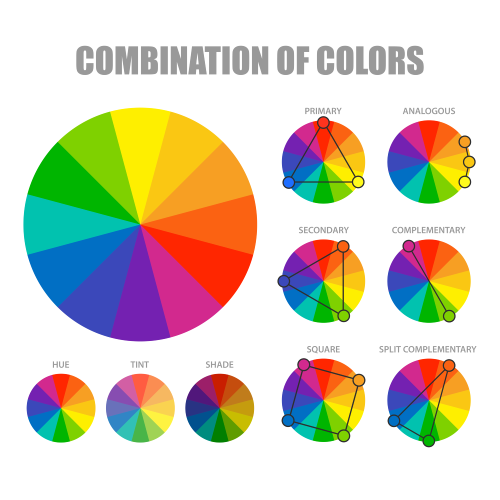 The Basics of Colour Theory: Detailed Exploration | Hickman Design